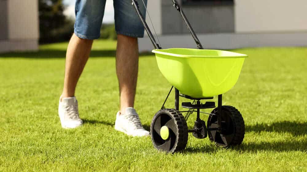 Fertilizers for a Healthy Lawn - Smart Earth Sprinklers | Austin ...