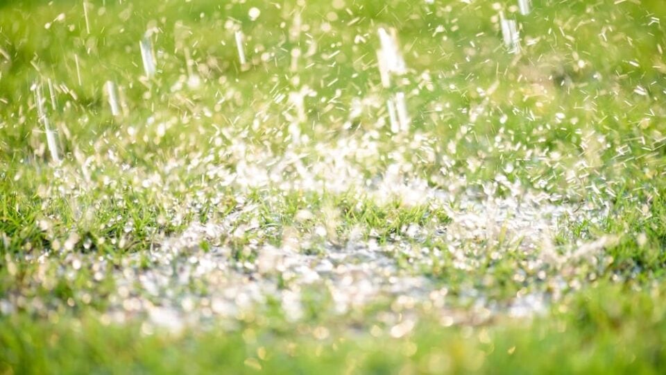 5 Different Types of Sprinkler/Irrigation Systems Explained - Smart ...