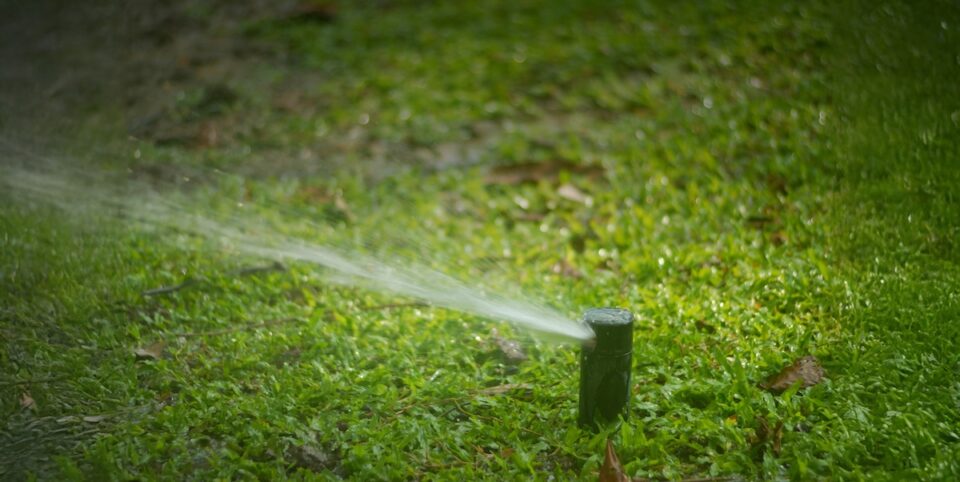 Tree Bubblers – When to Cap Them - Smart Earth Sprinklers | Austin ...